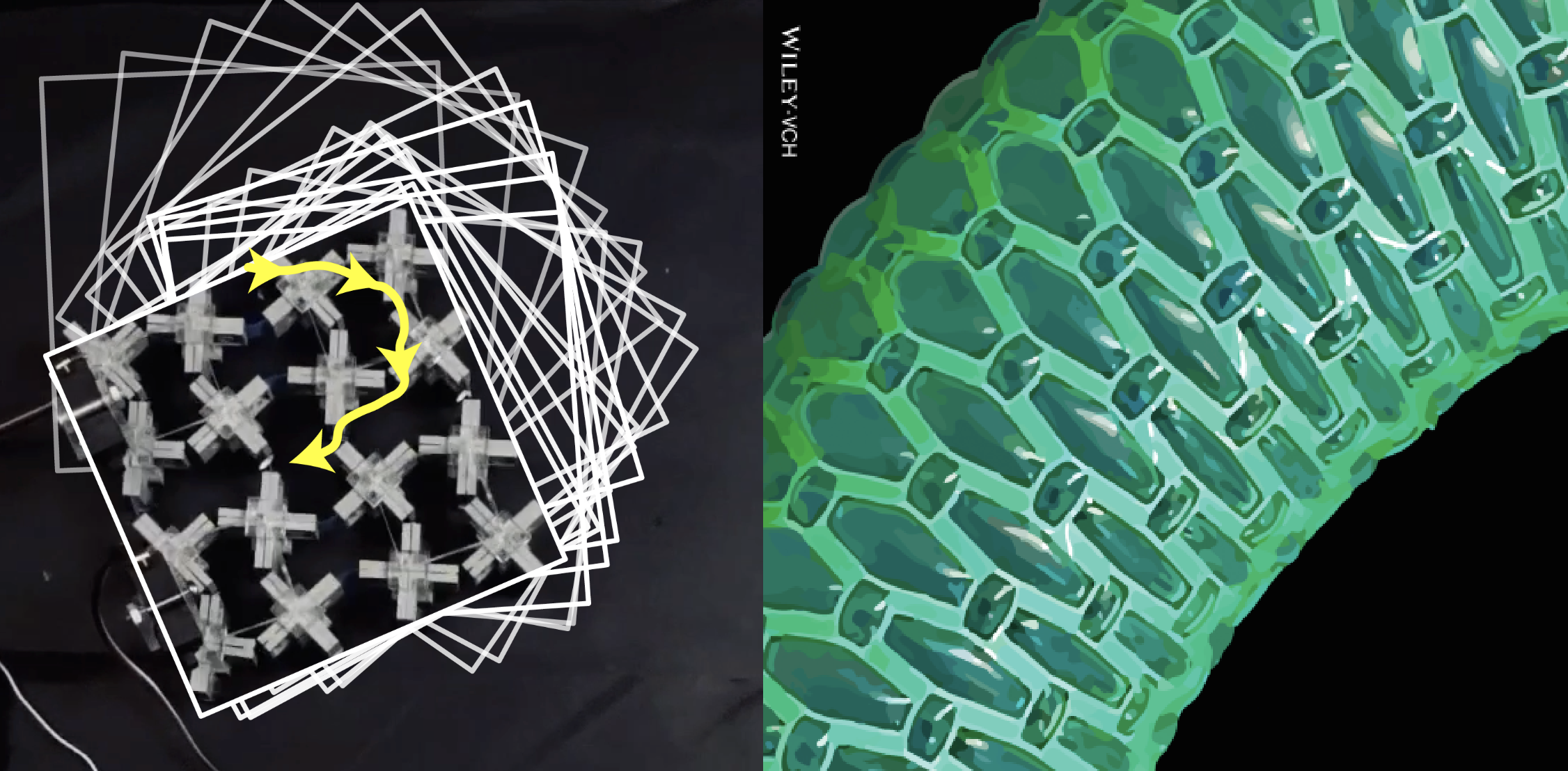 Soft robots via Architected Materials | Bolei Deng (邓博磊)